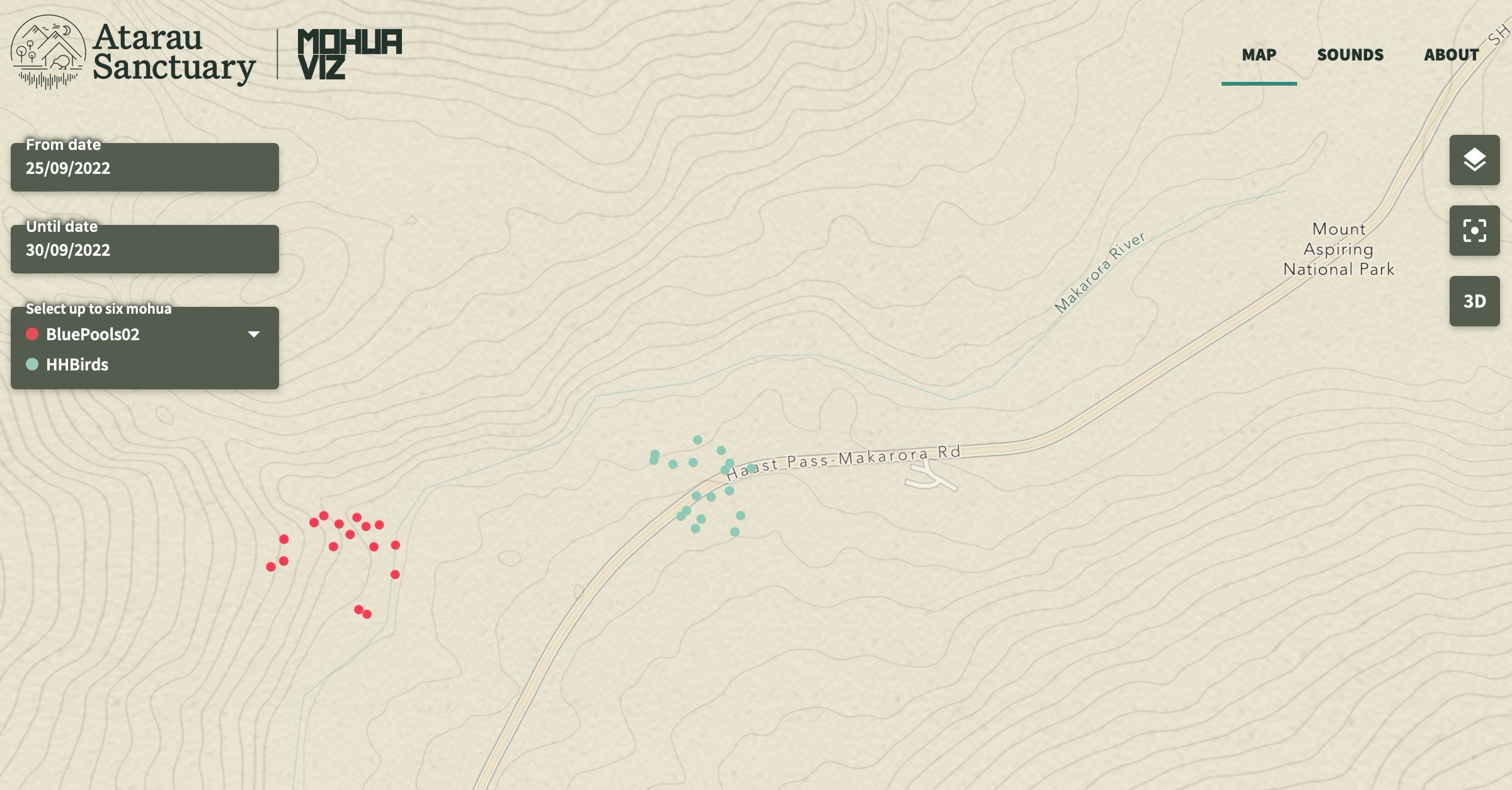 Atarau Sanctuary | Mohua Visualisation